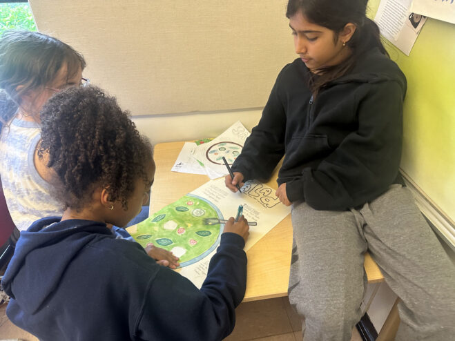 Fieldston Lower 5th Grade Shark Tank Project Challenges Students to ...