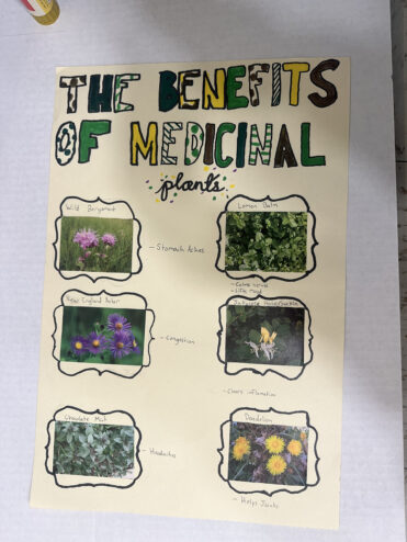 Fieldston Lower 5th Grade Shark Tank Project Challenges Students to ...