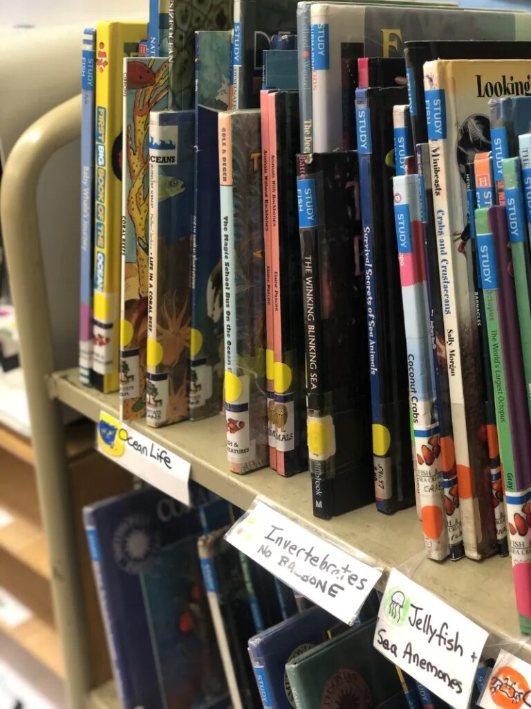 Fieldston Lower - Ethical Culture Fieldston School