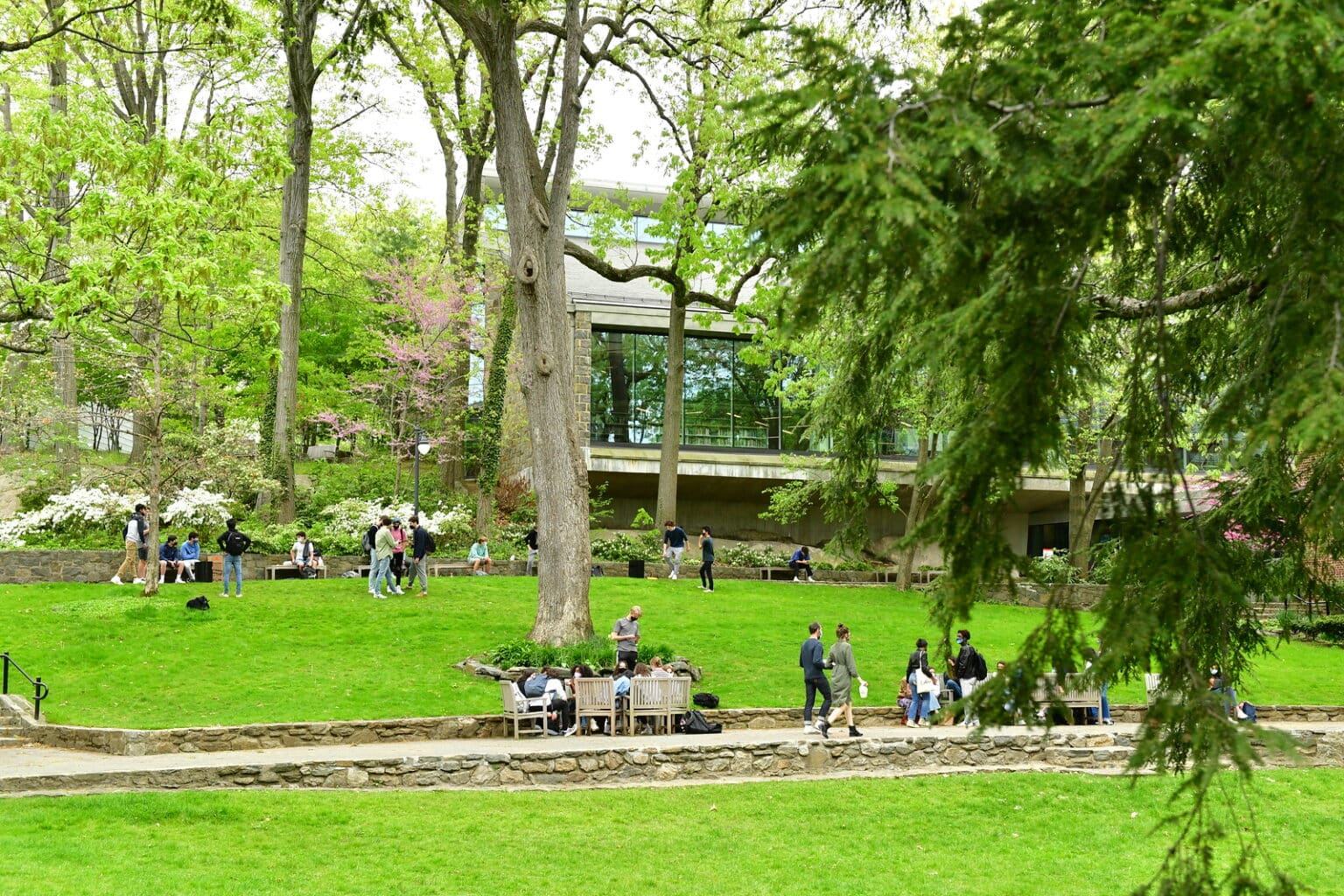 Admissions - Ethical Culture Fieldston School