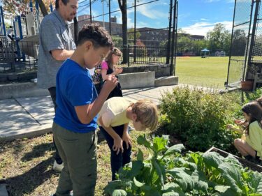 Fieldston Lower 5th Grade Shark Tank Project Challenges Students to ...