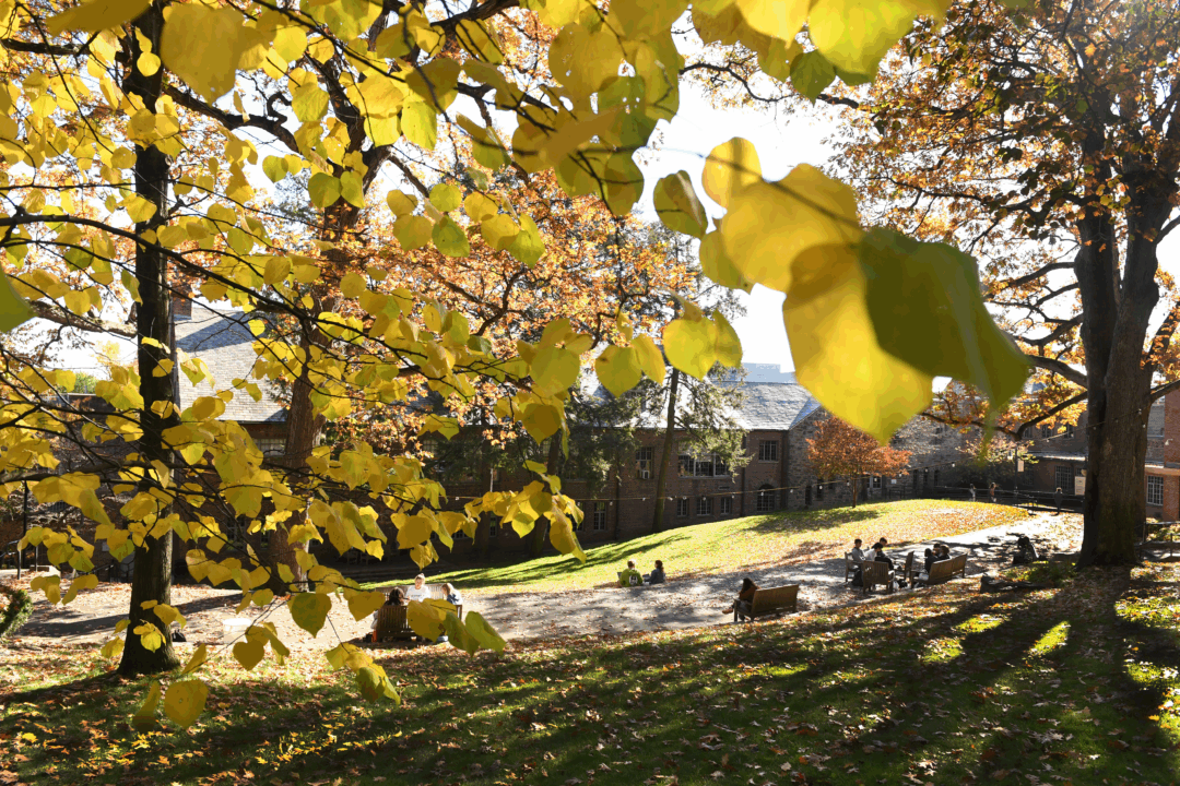 Magnus Health - Ethical Culture Fieldston School